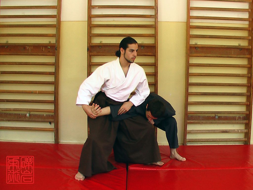 Hara Gatame - Curriculum - Rekigan Jujutsu
