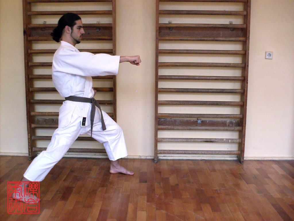 Gyaku Zuki - Curriculum - Rekigan Jujutsu