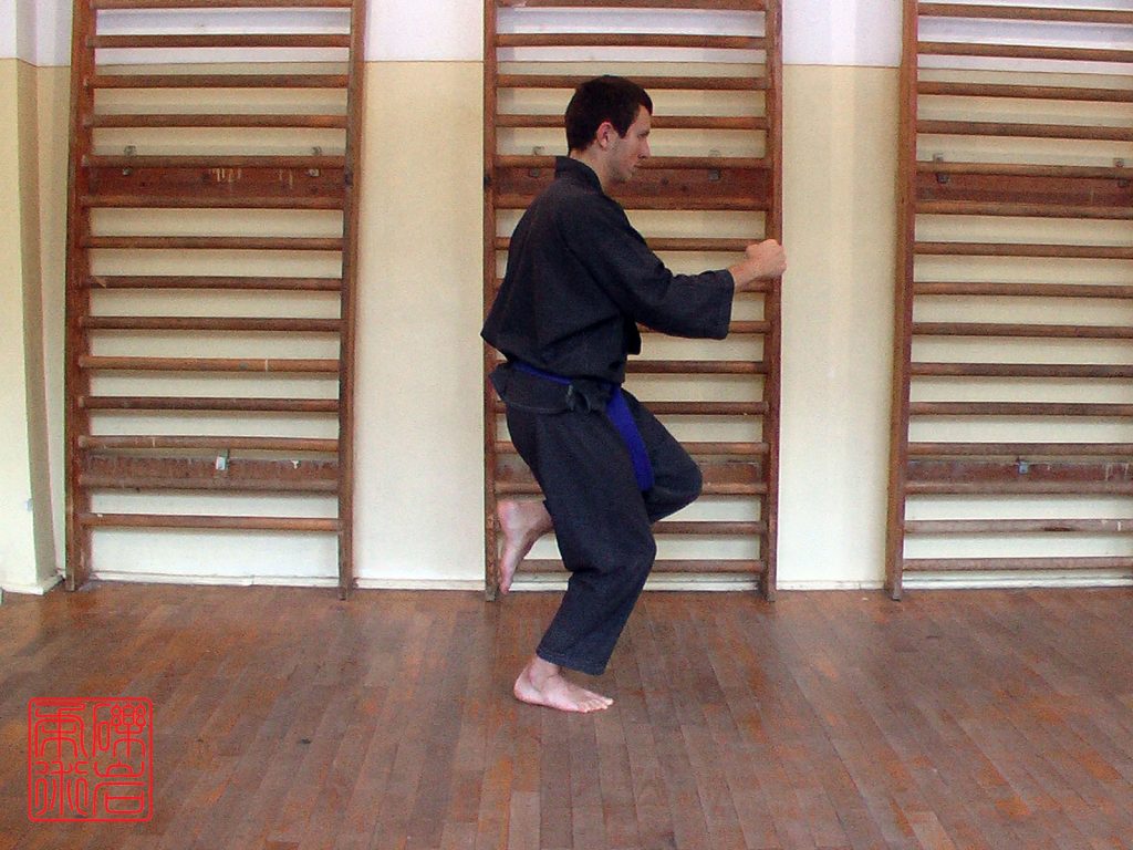 Mae Geri | Curriculum | Rekigan Jujutsu