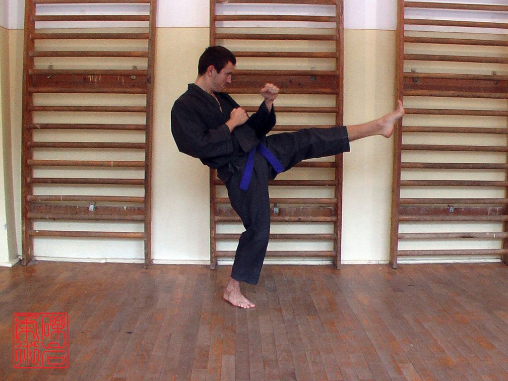 Geri Waza Shodan | Curriculum | Rekigan Jujutsu