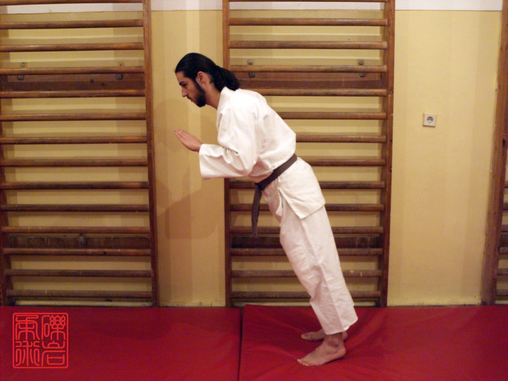 Mae Ukemi - Curriculum - Rekigan Jujutsu