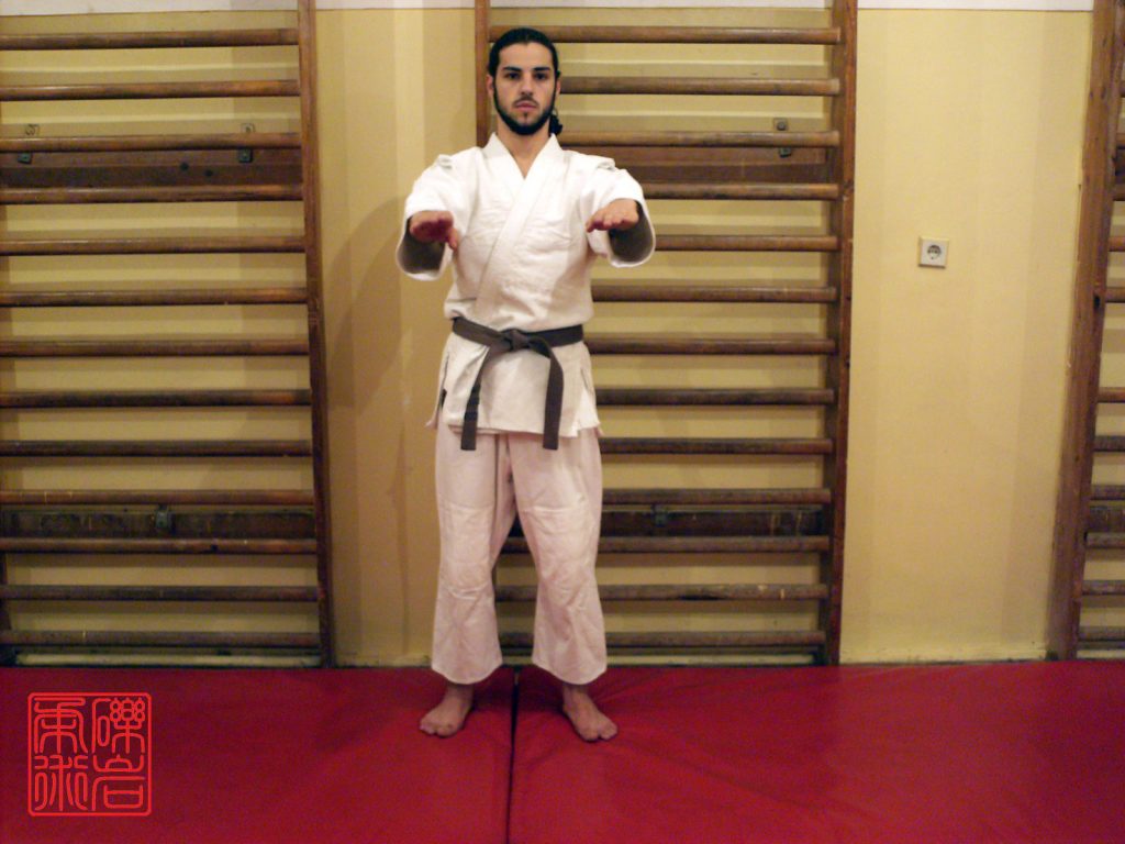 Mae Ukemi - Curriculum - Rekigan Jujutsu