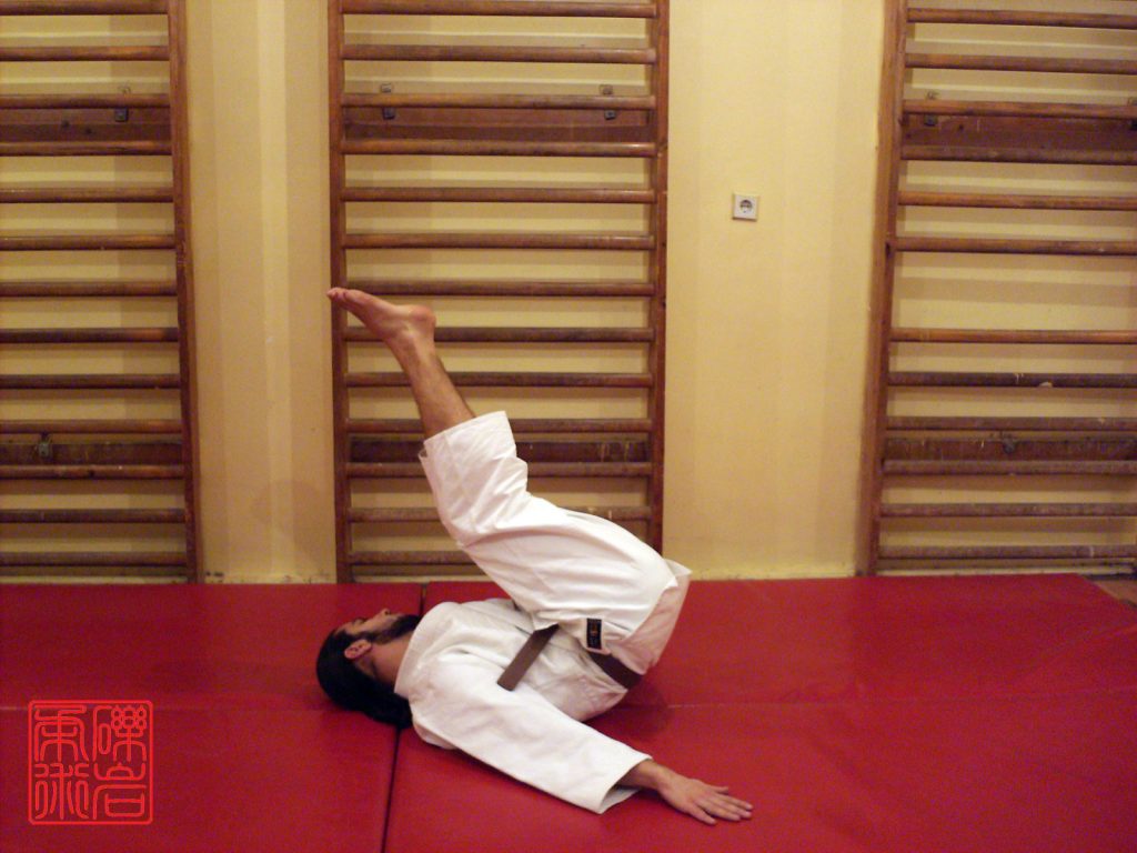 Ushiro Ukemi - Curriculum - Rekigan Jujutsu