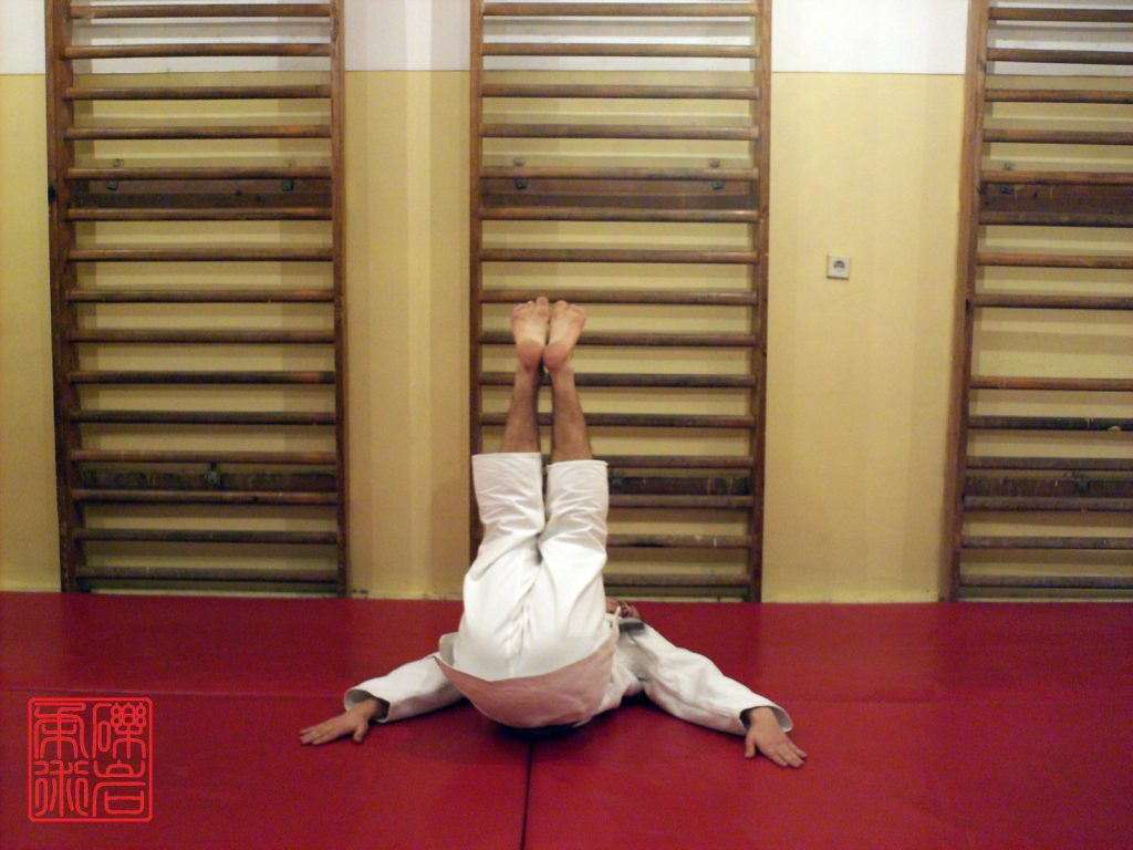 Ushiro Ukemi - Curriculum - Rekigan Jujutsu