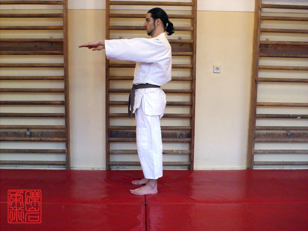 Yoko Ukemi - Curriculum - Rekigan Jujutsu