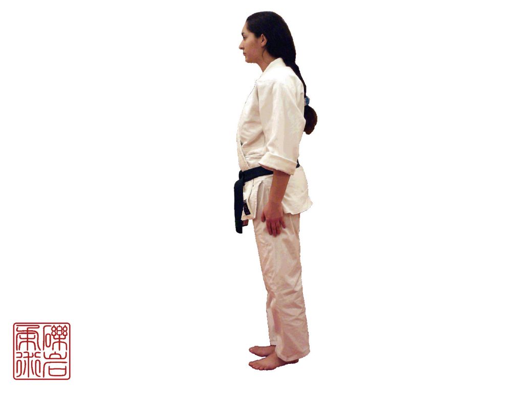Ritsu Rei | Curriculum | Rekigan Jujutsu