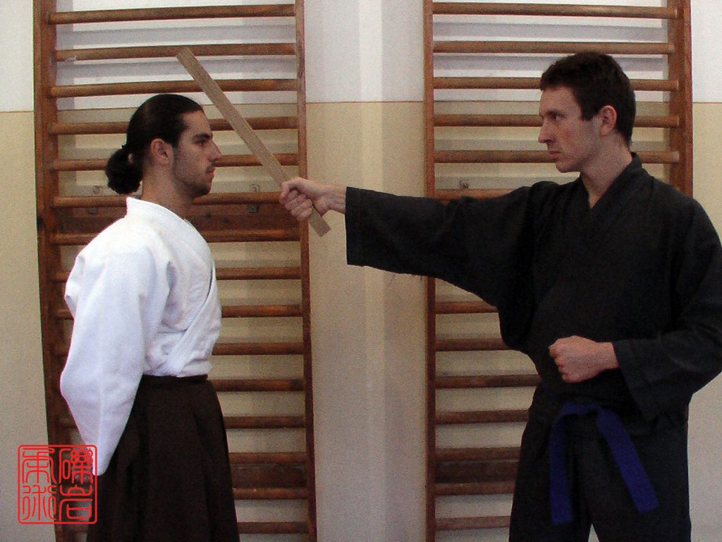 Blue Belt - Curriculum - Rekigan Jujutsu