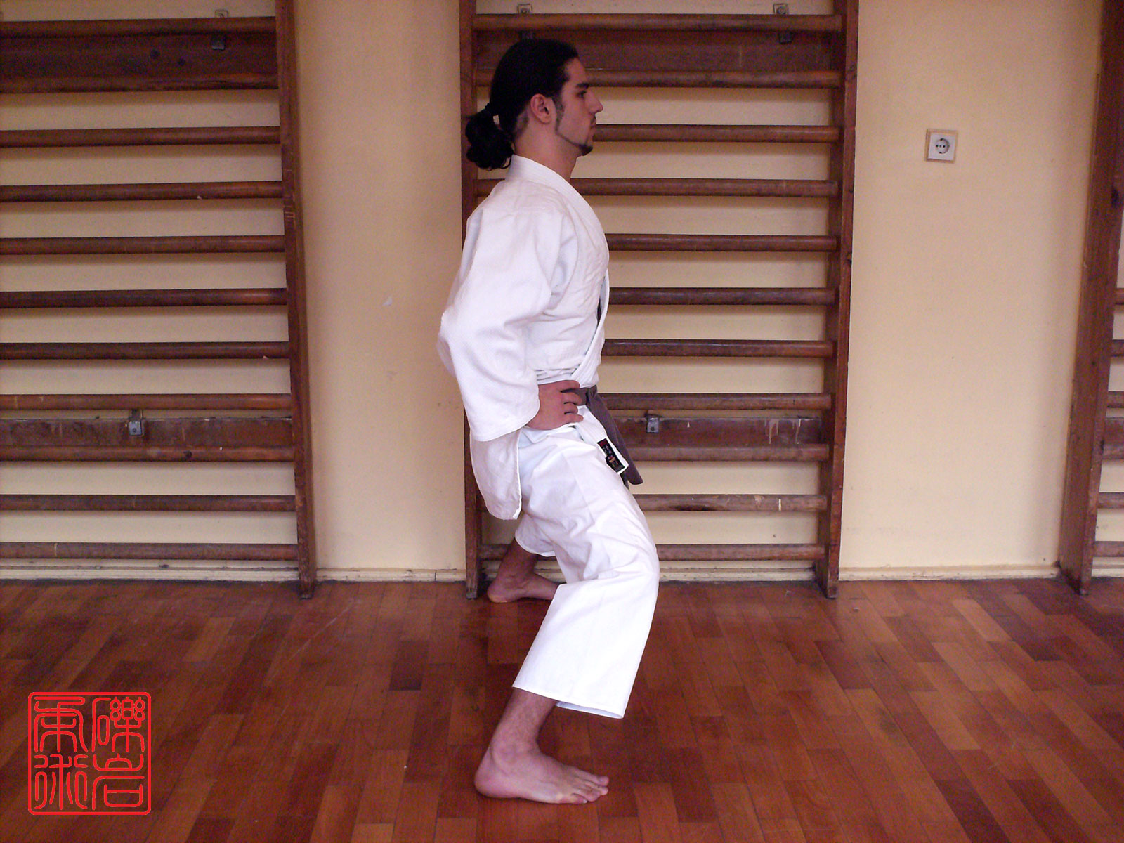 Kiba Dachi - Curriculum - Rekigan Jujutsu