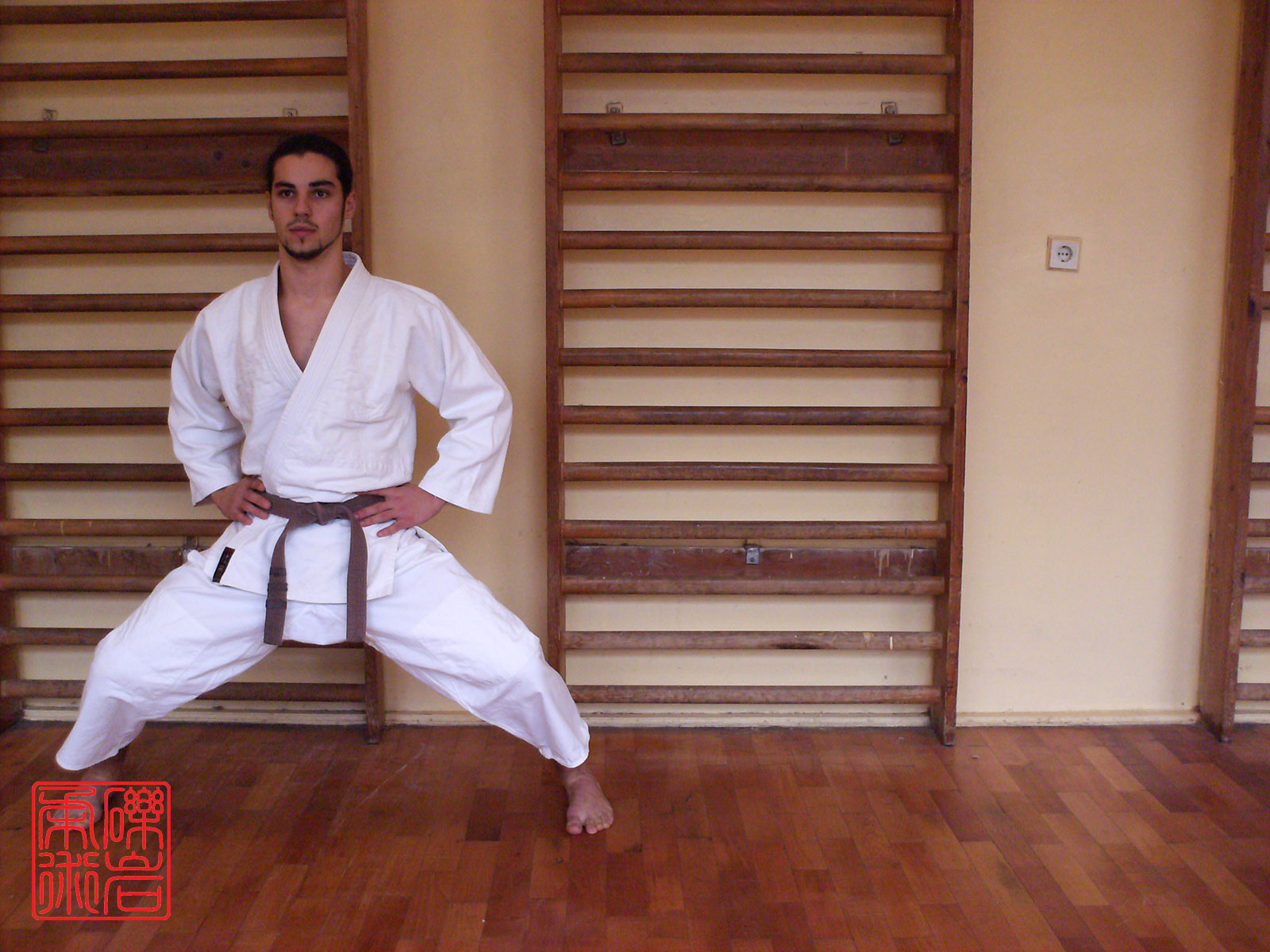 Tai No Shintai Kiba Dachi - Curriculum - Rekigan Jujutsu