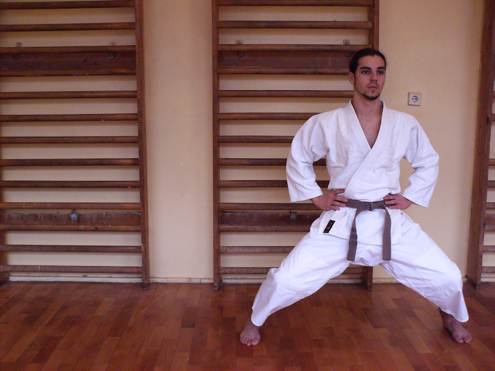 Tai No Shintai Kiba Dachi - Curriculum - Rekigan Jujutsu