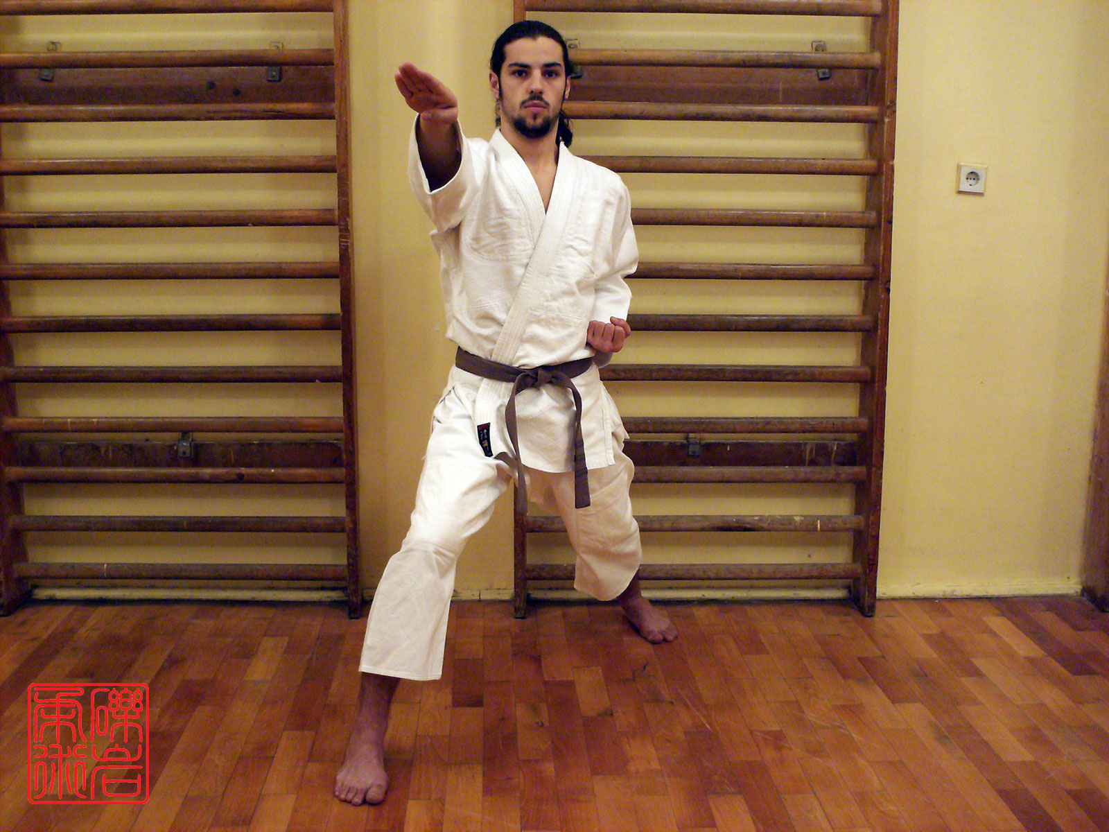 Uchi Waza Shodan - Curriculum - Rekigan Jujutsu